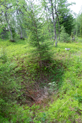 Hjem - Kulturminnesøk